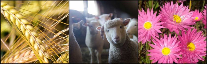 About Beacon Western Australia - Living On The Edge