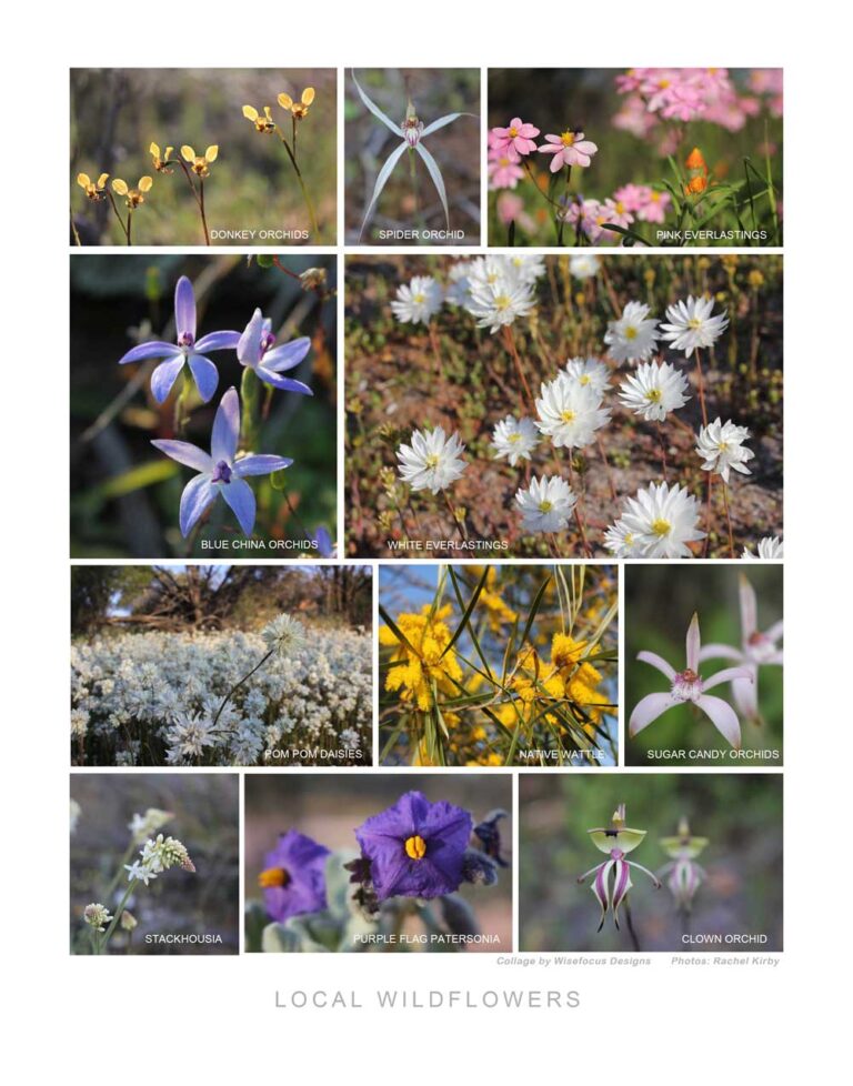 Photo Gallery | Beacon WA